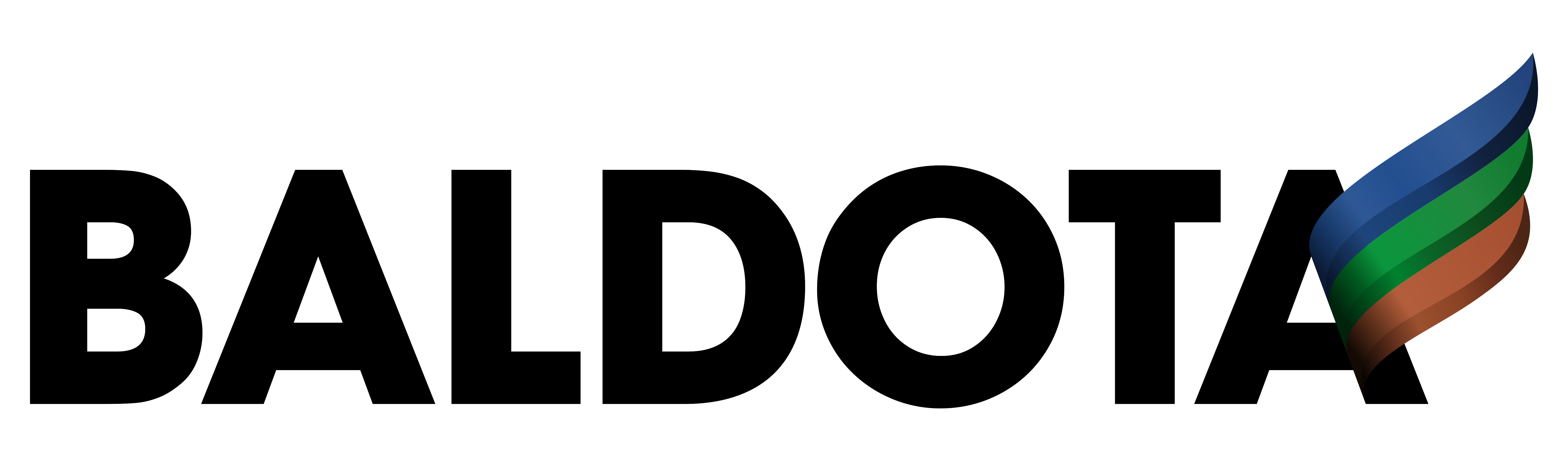 BALDOTA GROUP | Flexi-Pay Declaration System